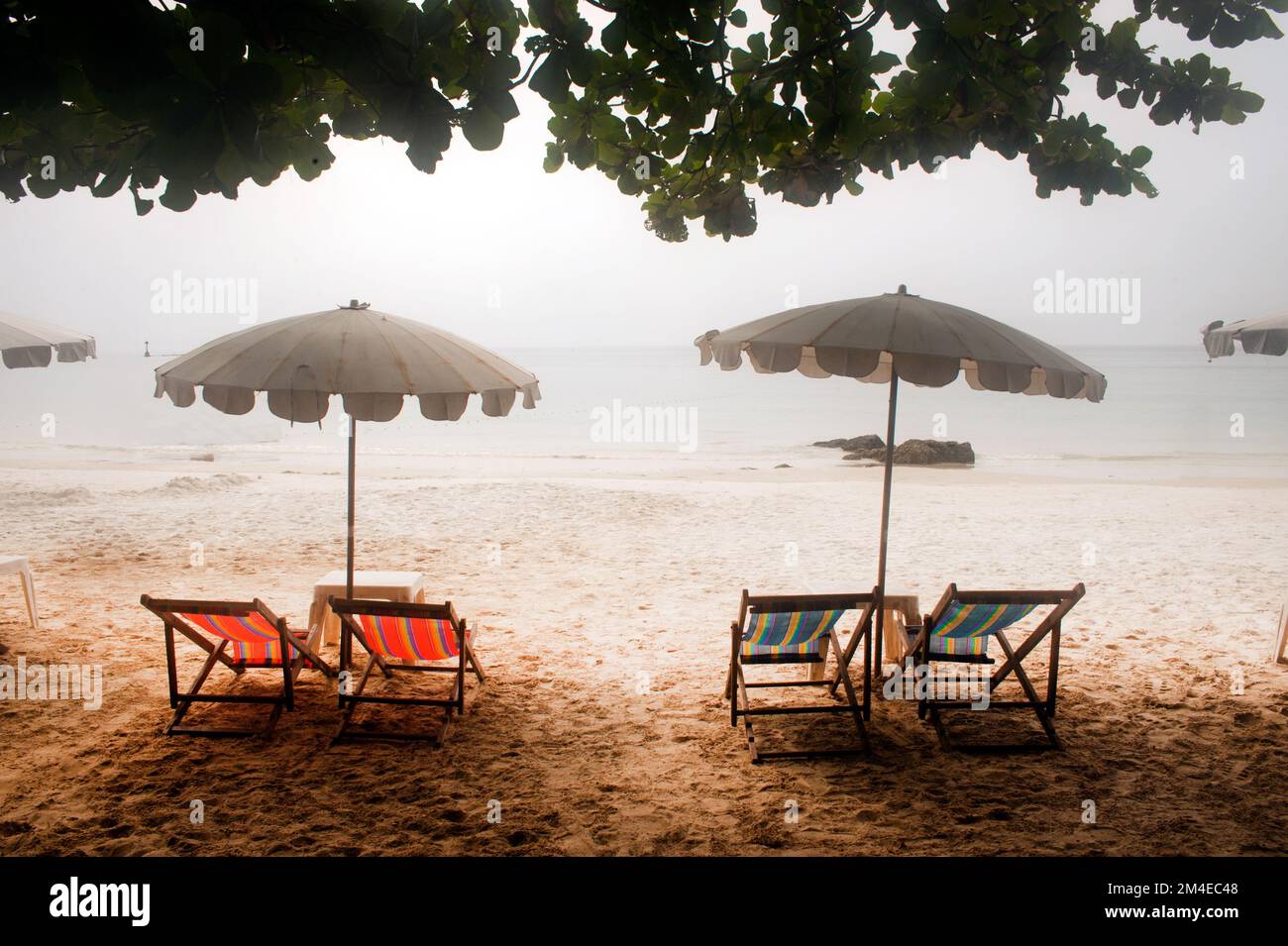 Umbrellas and bed rest on the beach Stock Photo - Alamy