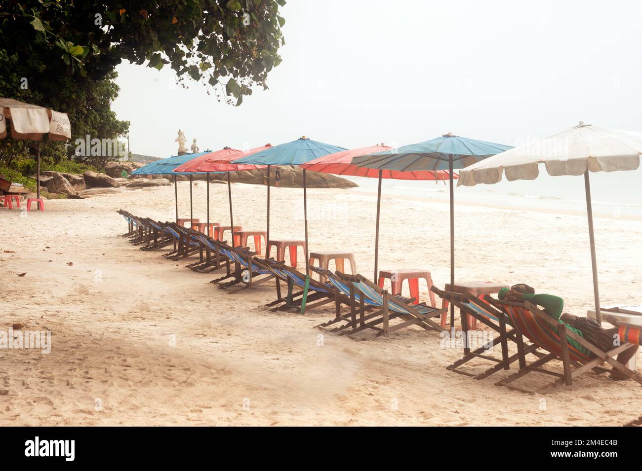 Umbrellas and bed rest on the beach Stock Photo - Alamy
