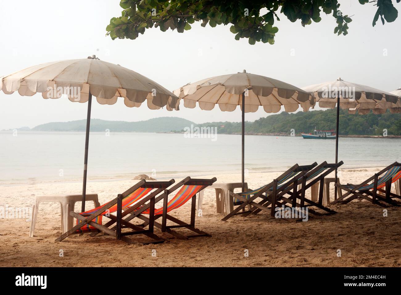 Umbrellas and bed rest on the beach Stock Photo - Alamy