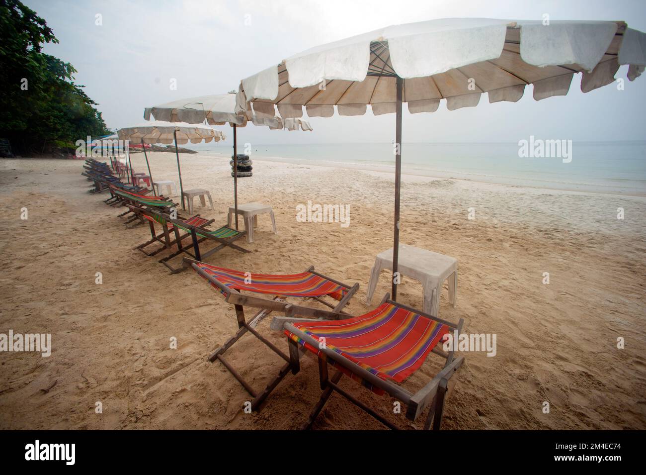 Umbrellas and bed rest on the beach Stock Photo - Alamy