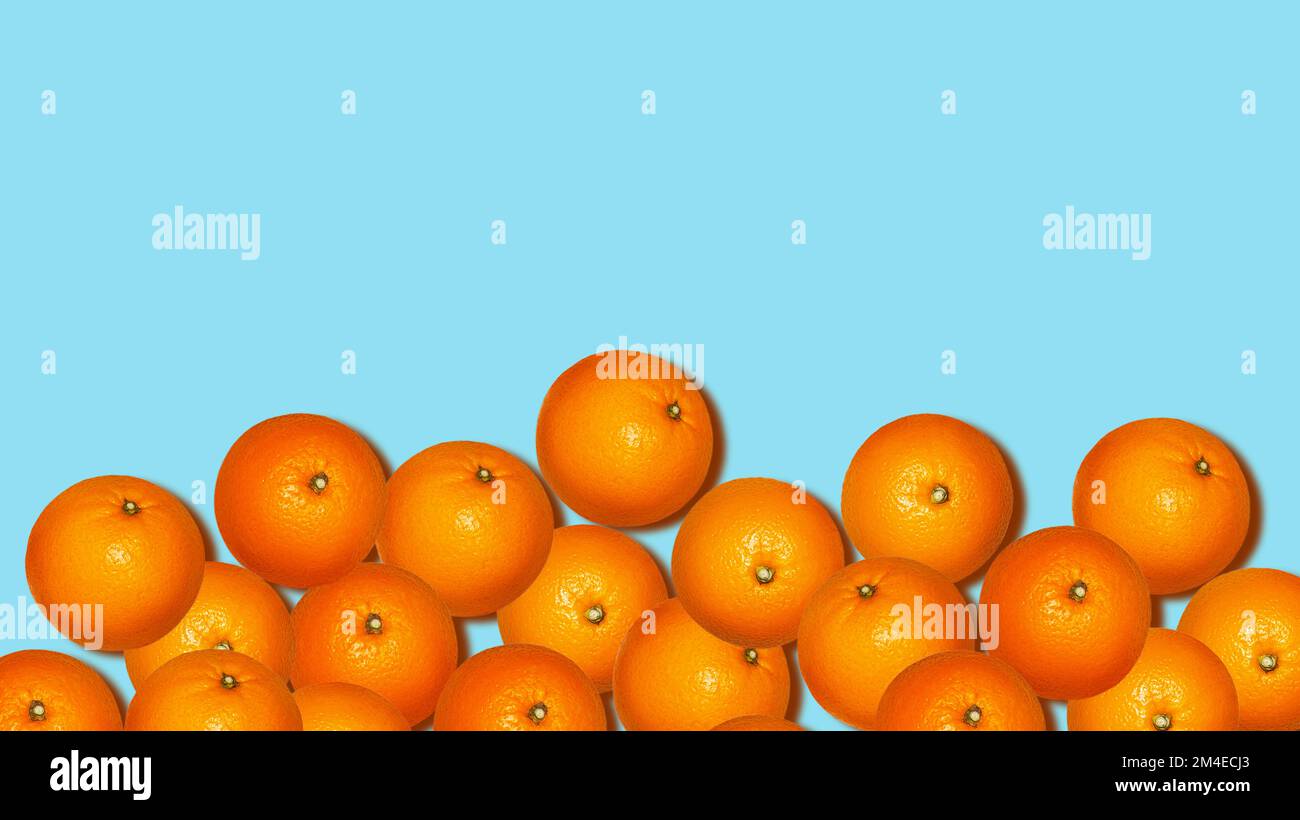 Background with oranges. Many oranges on a blue background. Banner ...