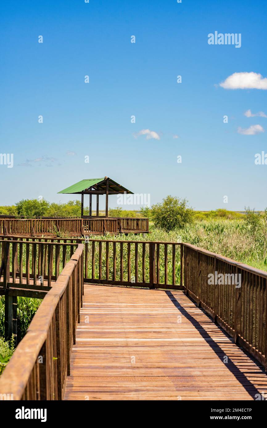 Beautiful vertical landscape with wooden trail in a natural scenery ...