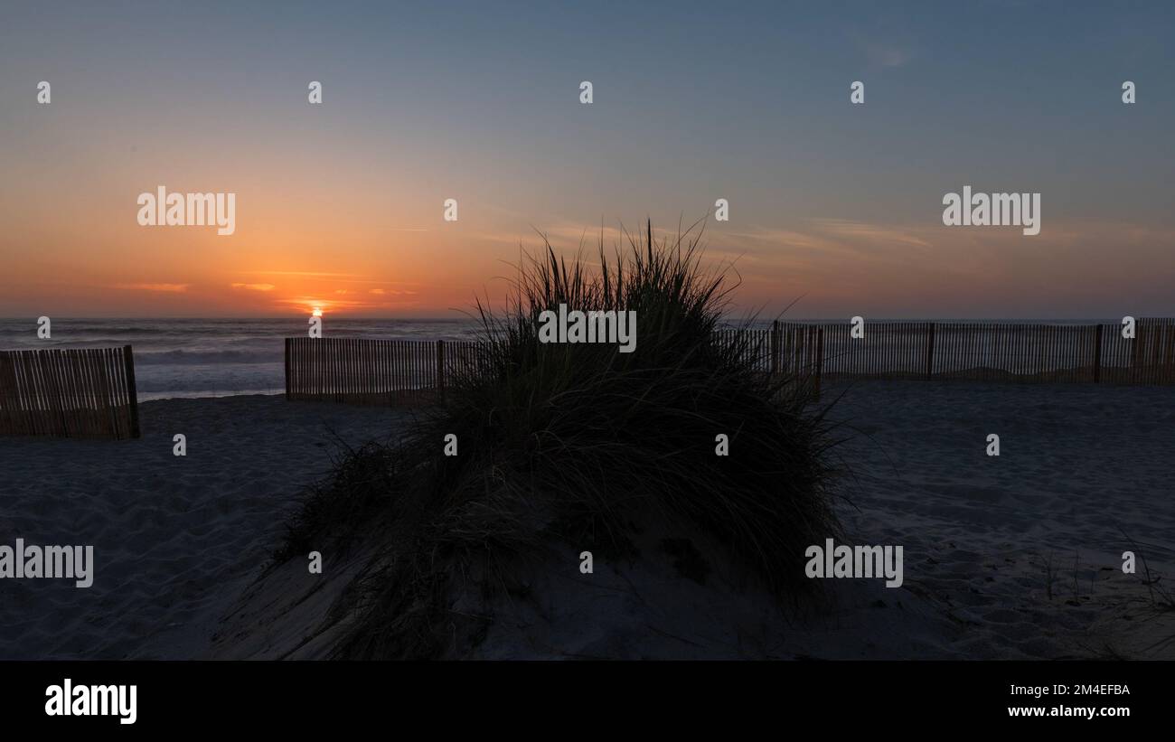 Landscape of Furadouro beach, Portugal at sunset Stock Photo - Alamy