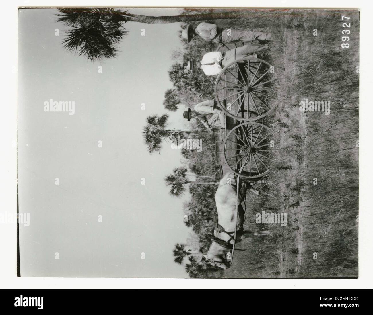 Haulage management Cut Out Stock Images & Pictures - Alamy