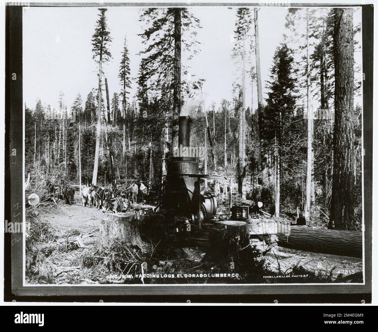 Historical logging photographs hi-res stock photography and images - Alamy