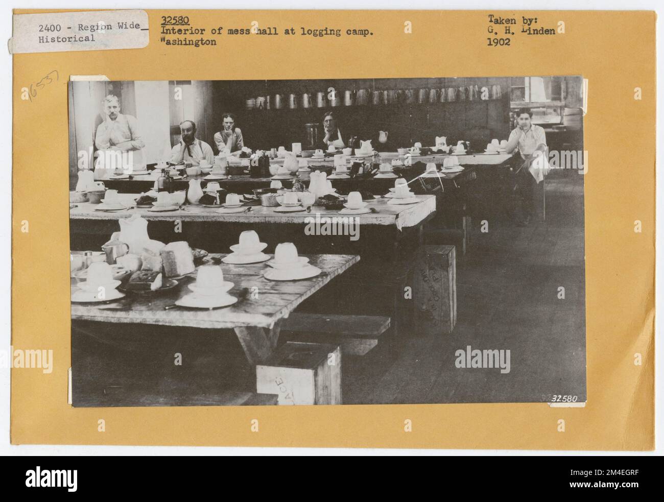 Historical: Logging. Photographs Relating to National Forests, Resource ...