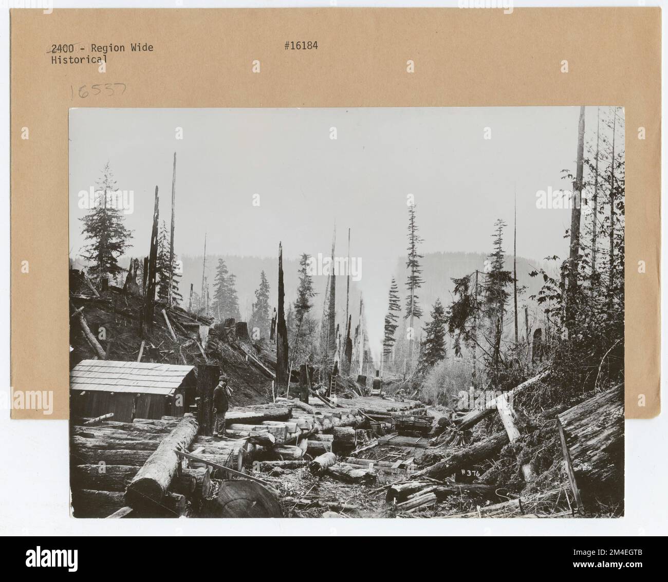 Historical: Logging. Photographs Relating to National Forests, Resource ...