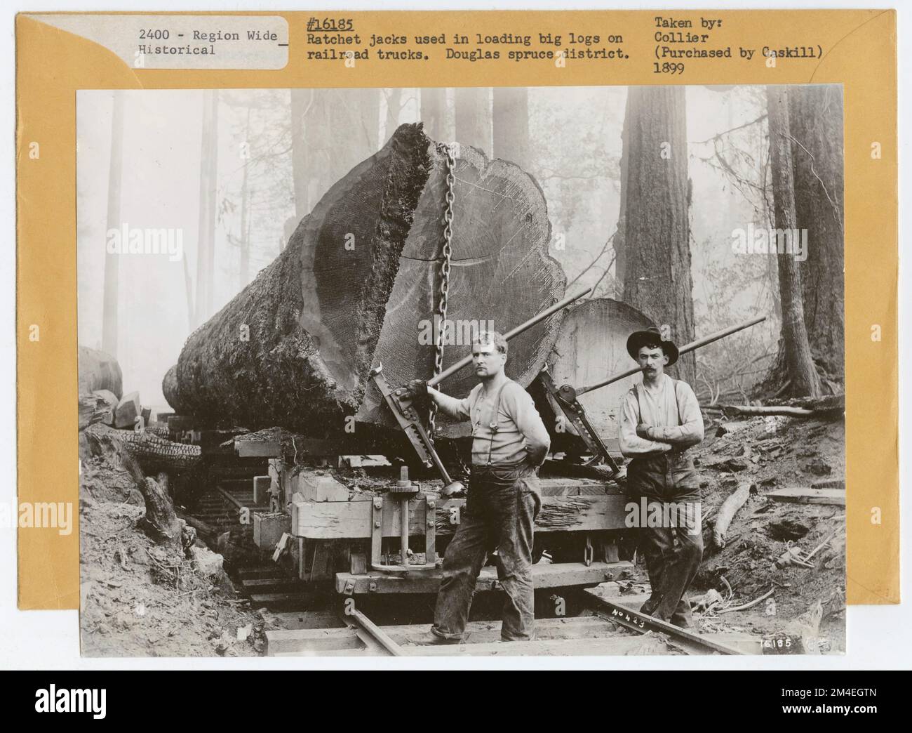 Historical: Logging. Photographs Relating to National Forests, Resource ...