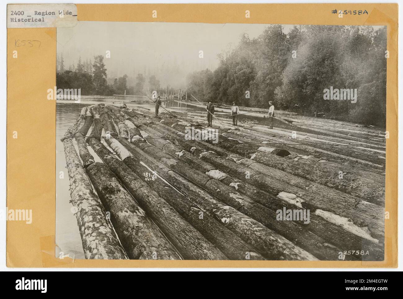 Historical: Logging. Photographs Relating to National Forests, Resource ...