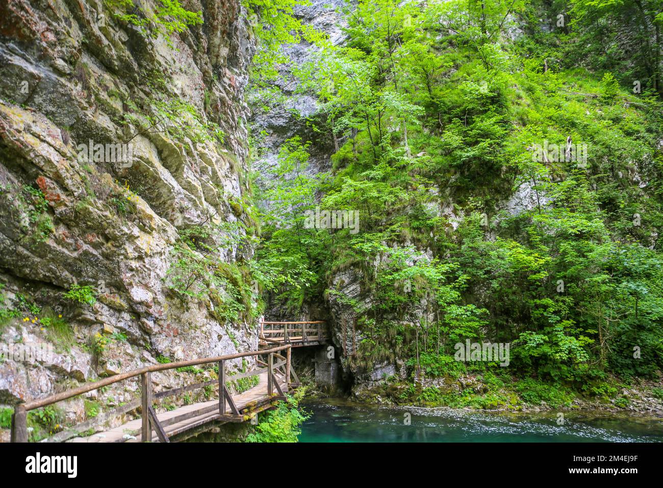 Side view wooden boardwalk hi-res stock photography and images - Alamy