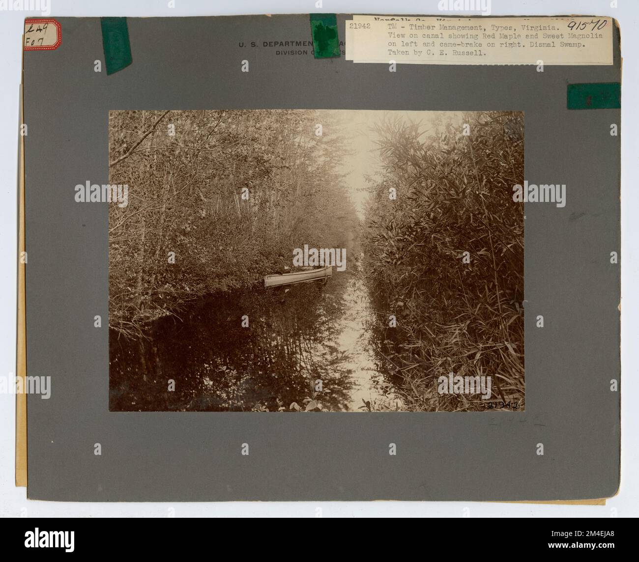 Timber Management: Types - Virginia. Photographs Relating to National ...