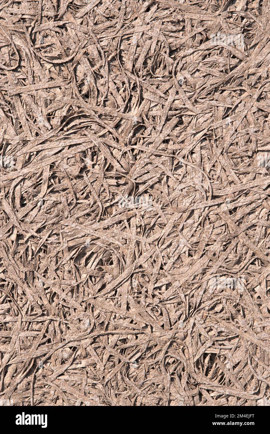 Decorative paper texture and background Stock Photo - Alamy