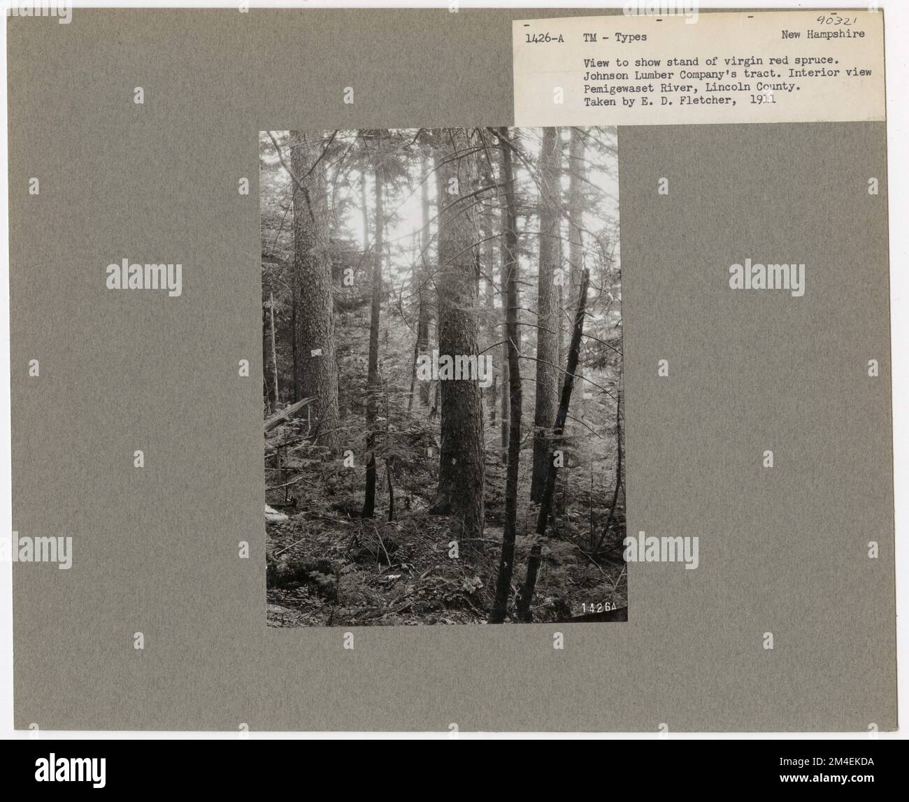 Timber Management: Types - New Hampshire. Photographs Relating to ...