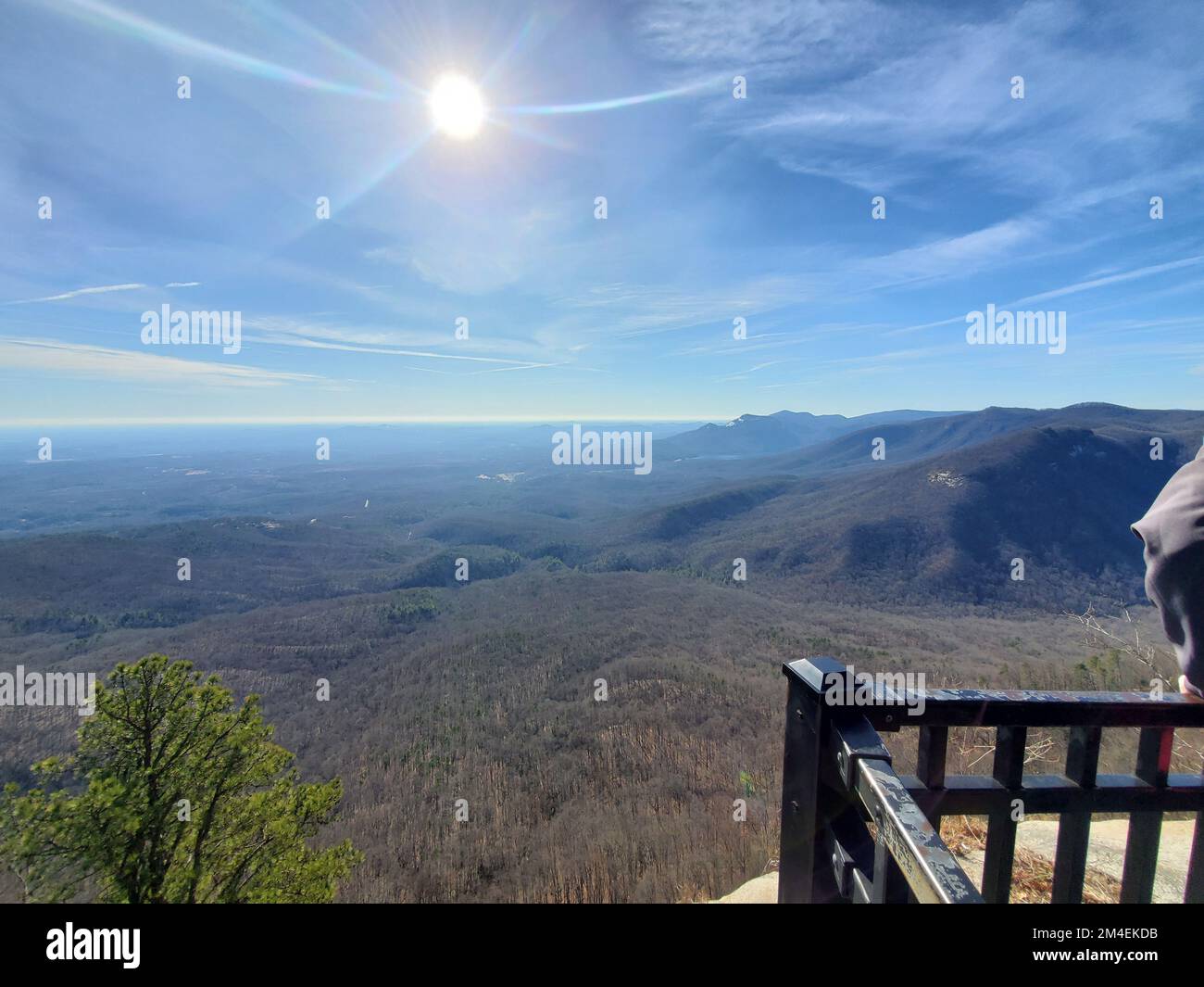 A beautiful view of a forest with trees from a mountain under the blue ...