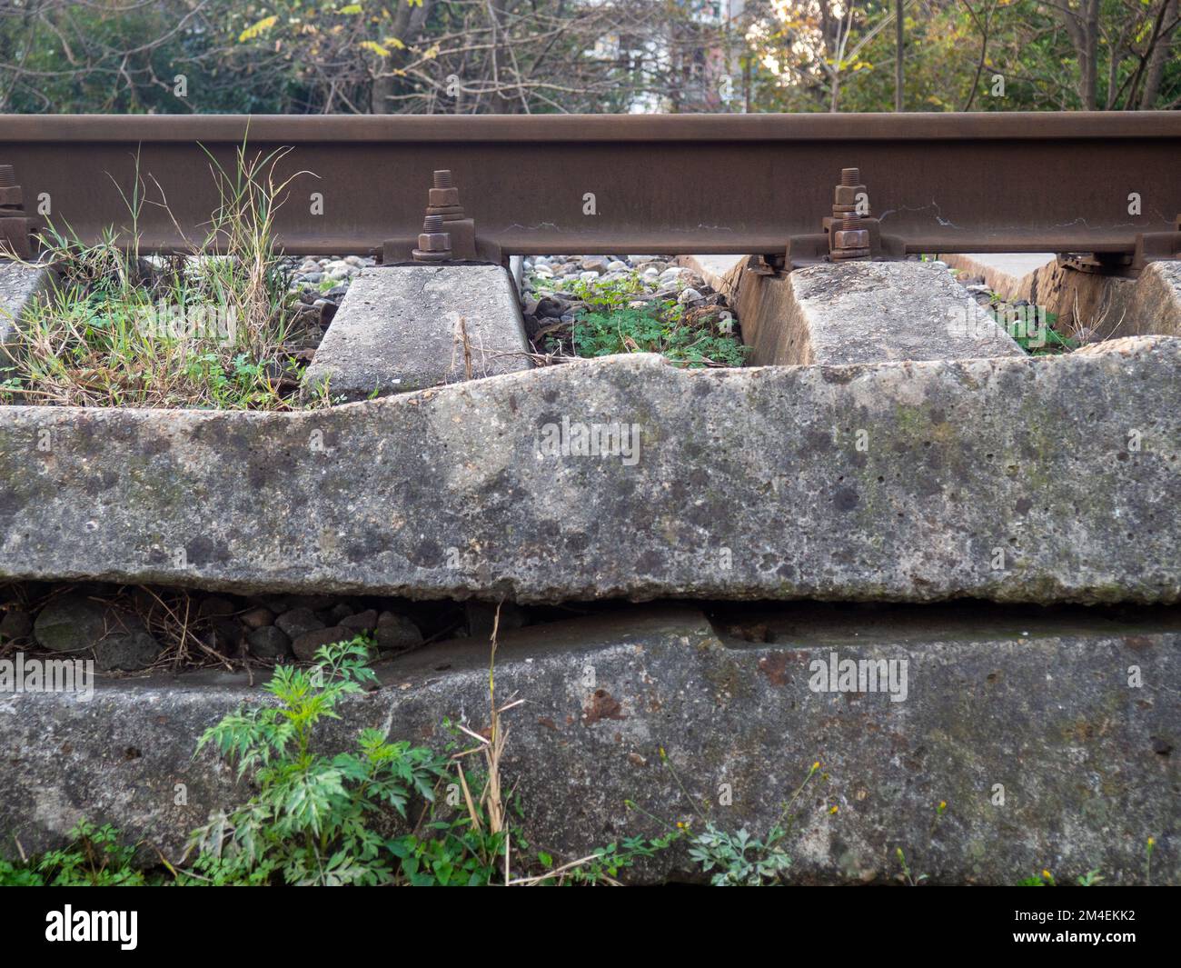 concrete sleepers. railway and forest belt. Railway in the city ...