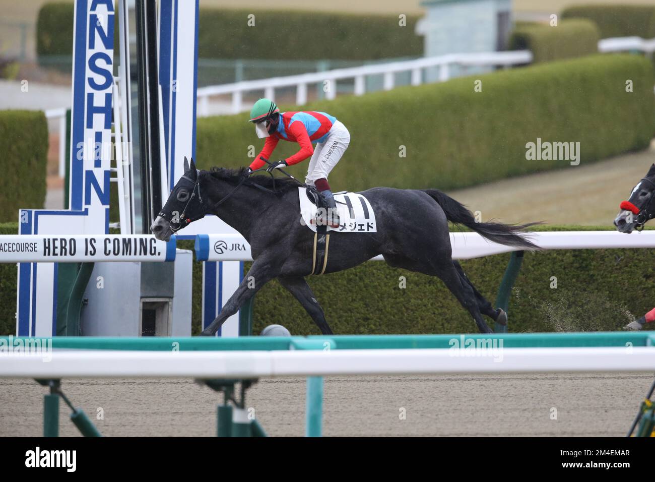 Medjed and Katsuma Sameshima win the Hanshin 2R at Hanshin Racecourse ...