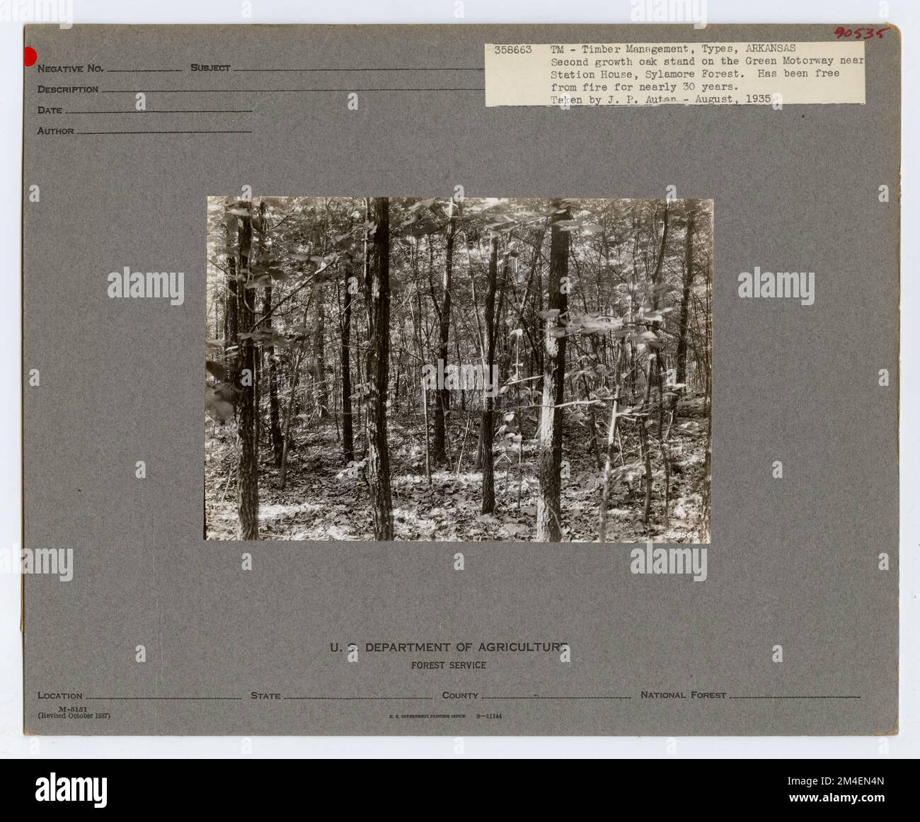 Timber Management: Types - Arkansas. Photographs Relating to National ...