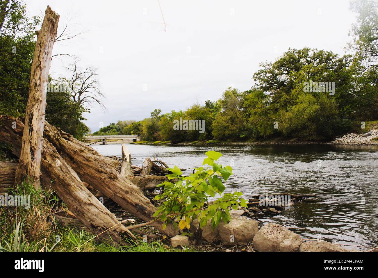 The Des Plaines River in Riverside, Illinois Stock Photo - Alamy
