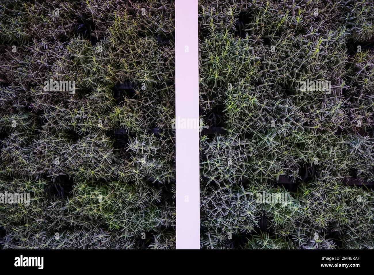 A beautiful natural pattern background Stock Photo - Alamy