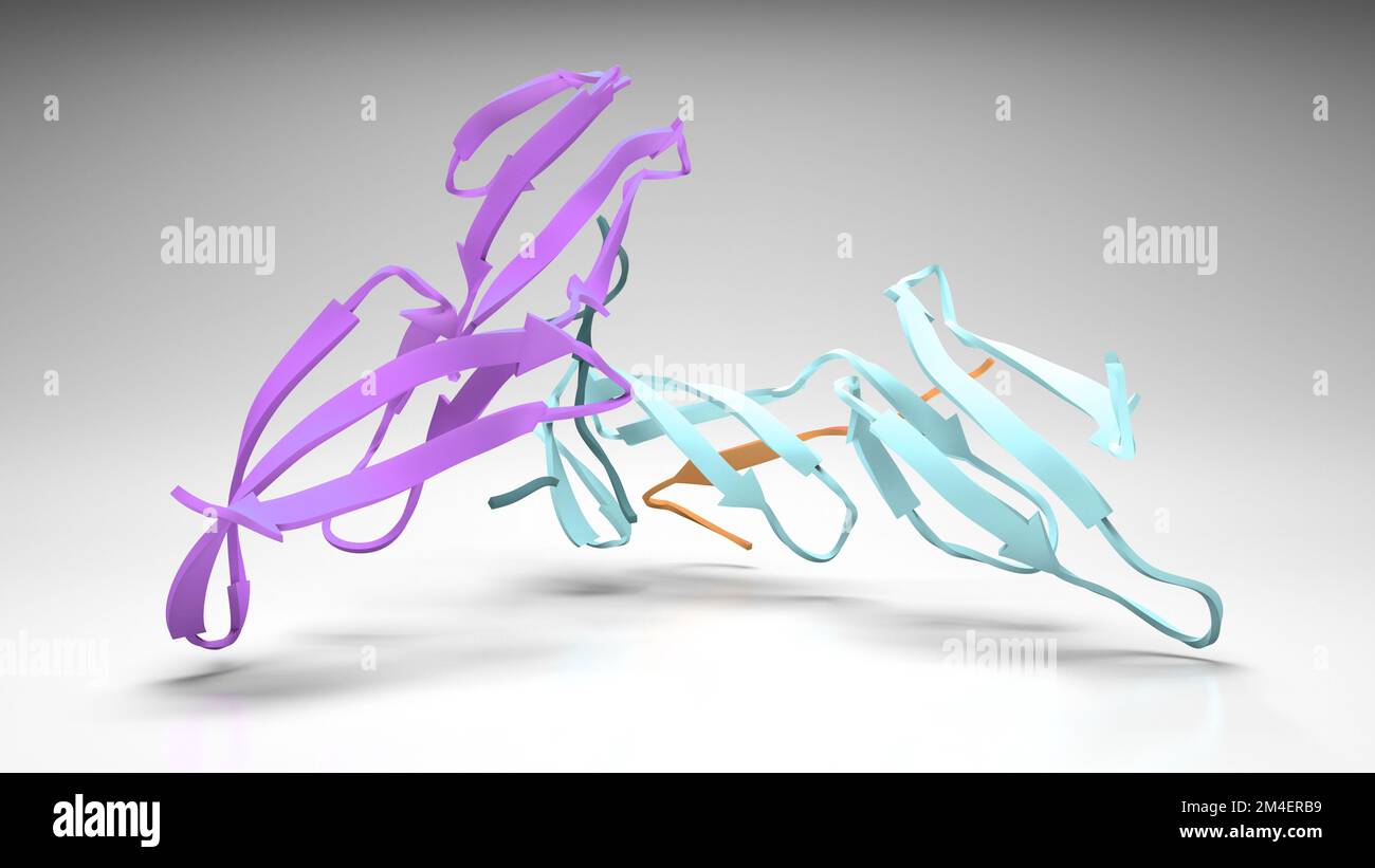 Collagen protein molecule, illustration Stock Photo - Alamy