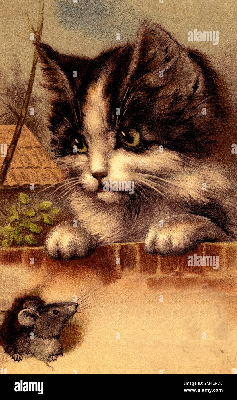Cat and mouse, illustration Stock Photo - Alamy