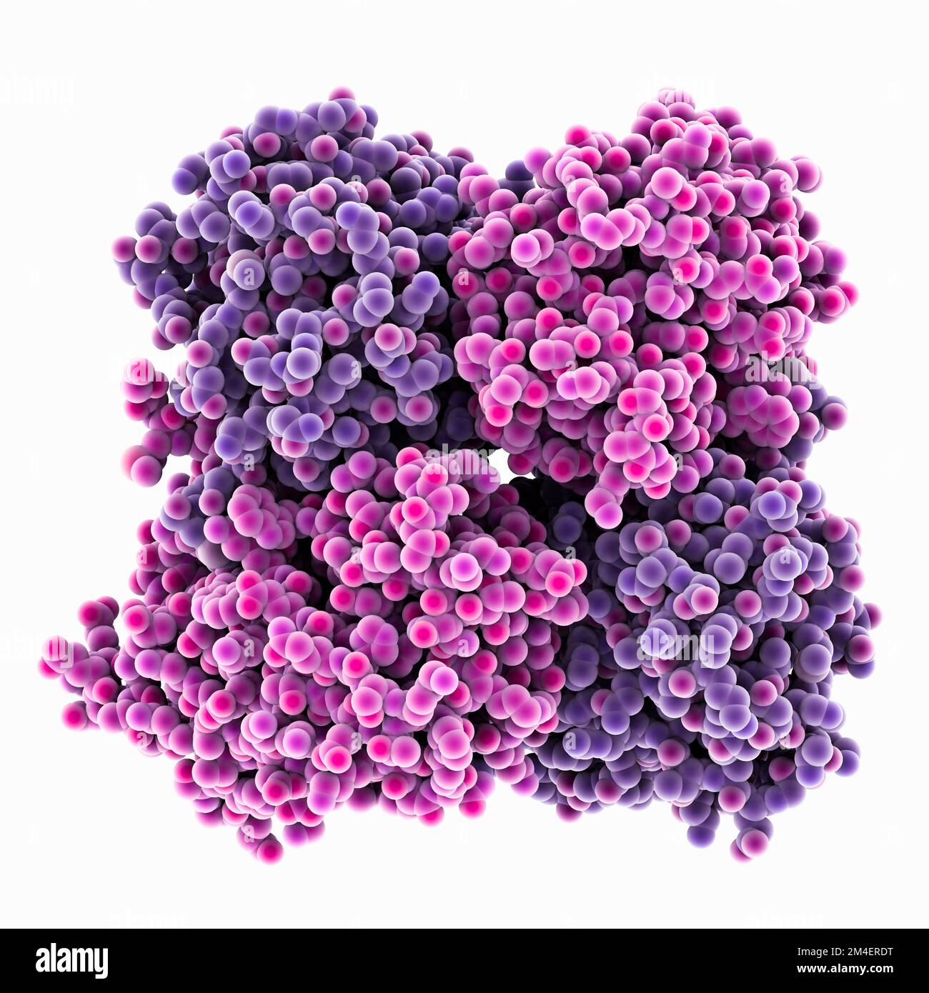 Violet fluorescent protein, molecular model Stock Photo - Alamy