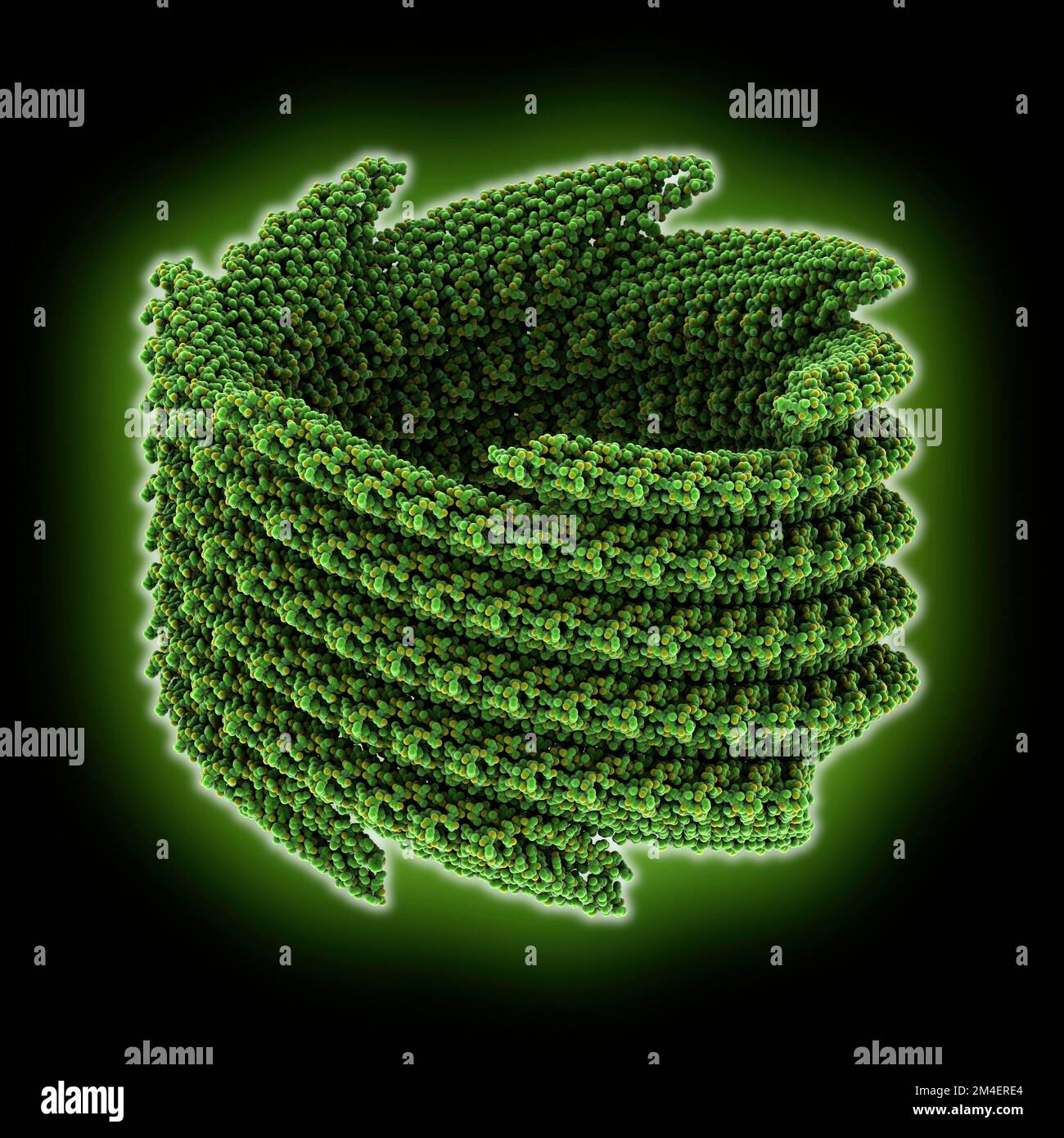 Sulfolobus monocaudavirus SMV1 capsid, molecular model Stock Photo - Alamy