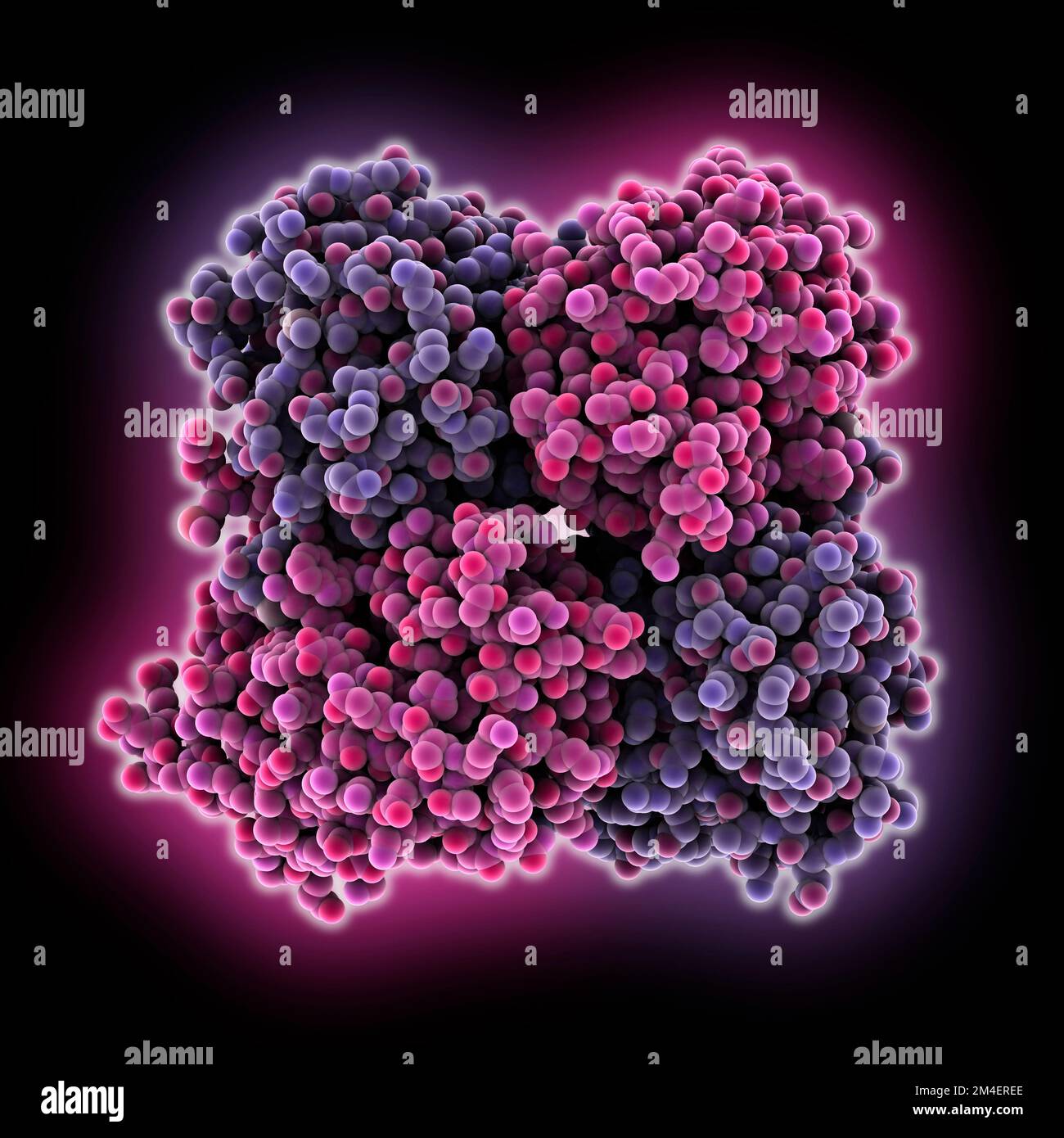 Violet fluorescent protein, molecular model Stock Photo - Alamy