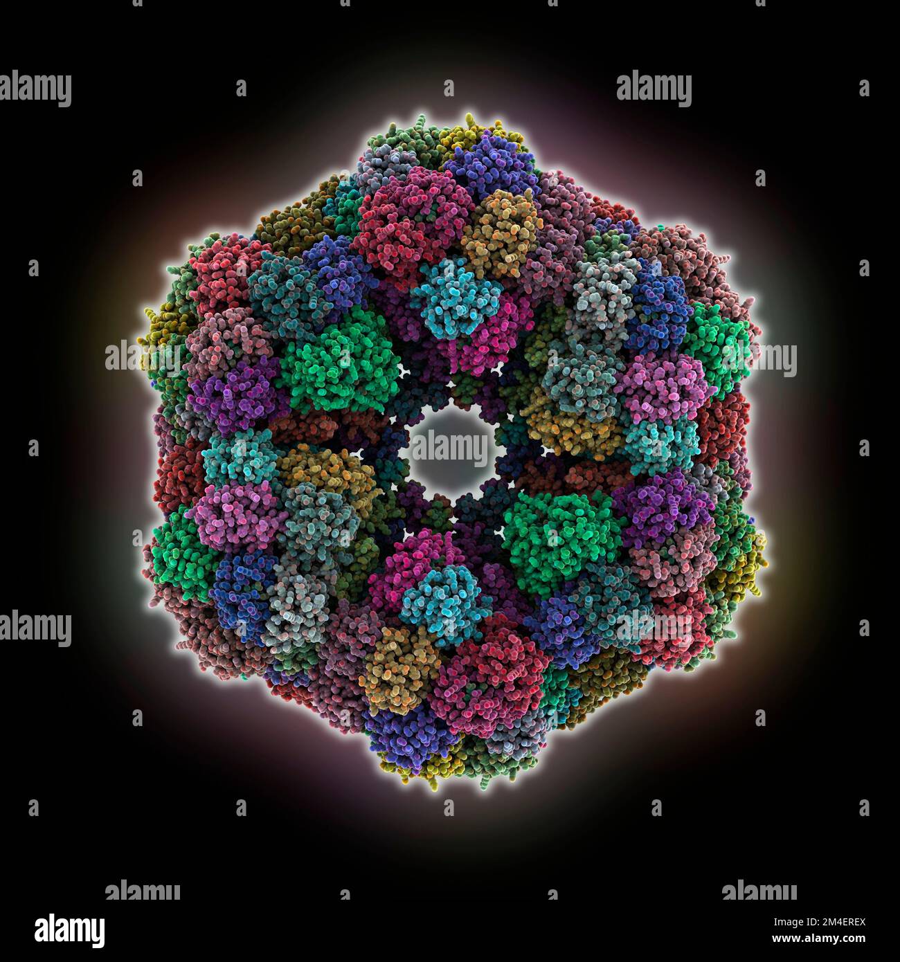 Giant haemoglobin from Glossoscolex, molecular model Stock Photo - Alamy