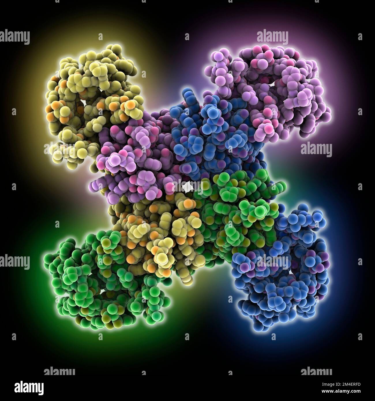 Shaker Kv channel, molecular model Stock Photo - Alamy
