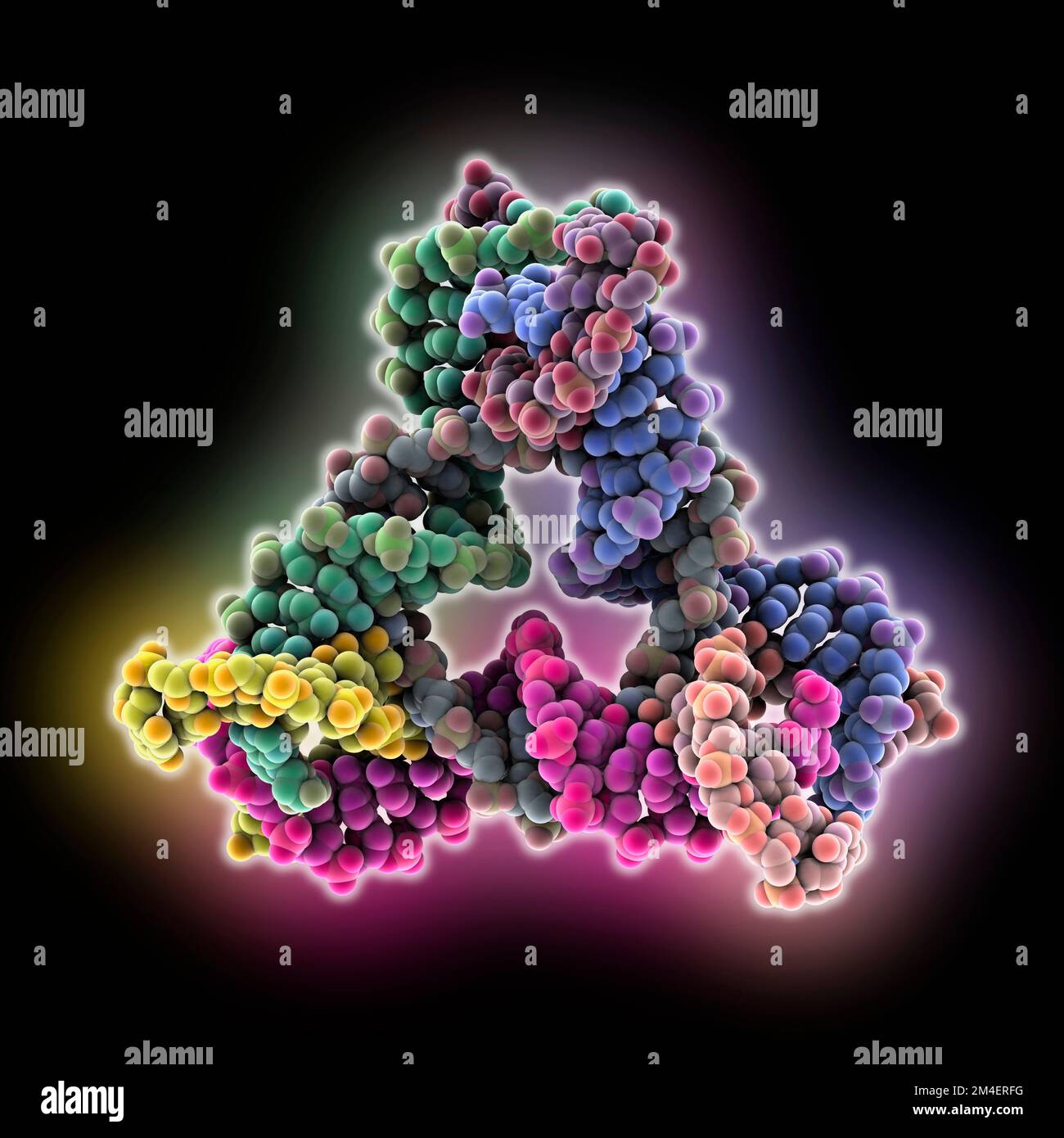 Self-assembling tensegrity DNA-triangle, molecular model Stock Photo ...