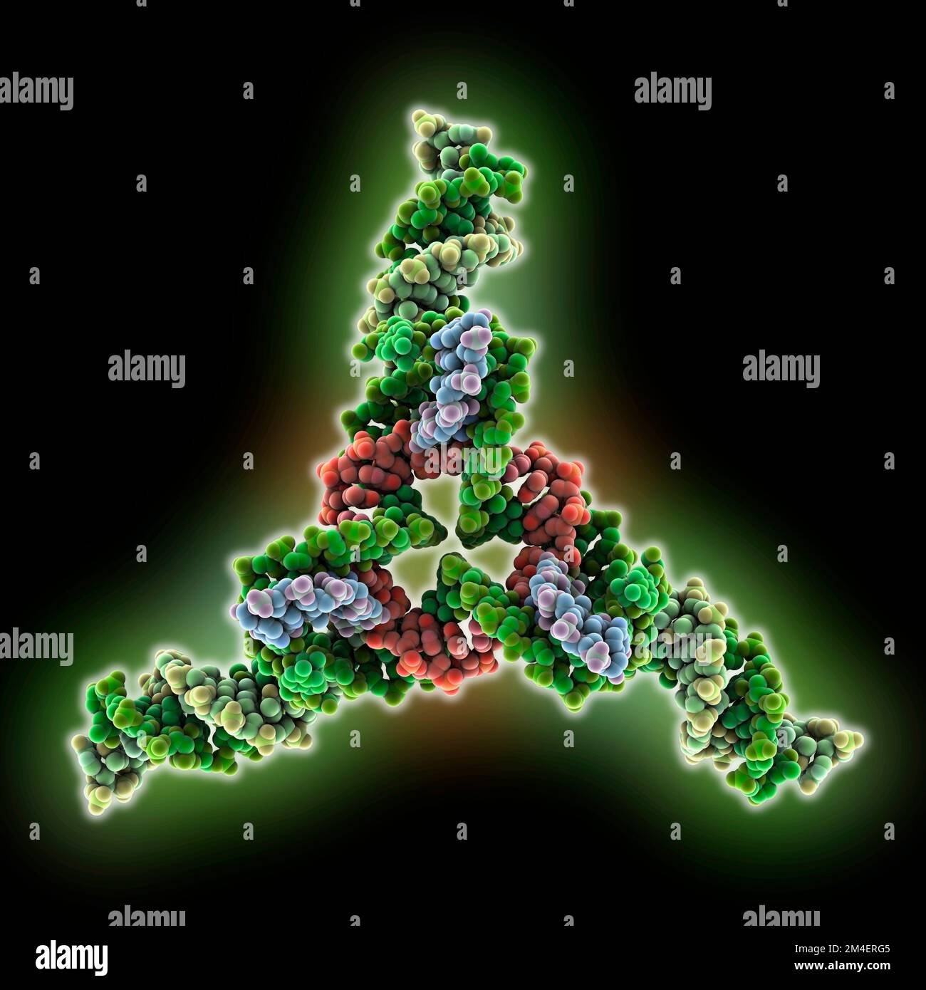 Self-assembling tensegrity DNA-triangle, molecular model Stock Photo ...