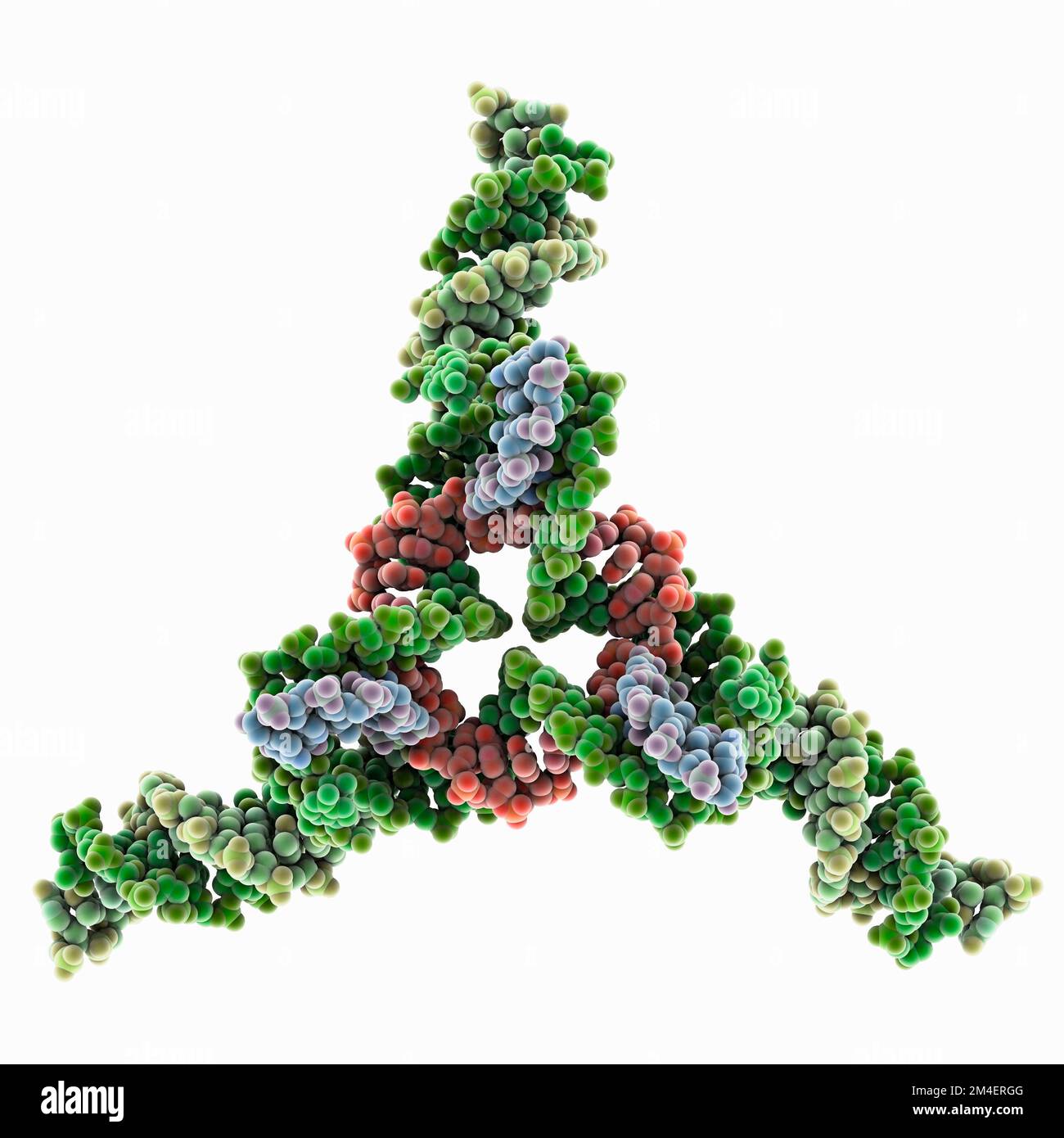 Self-assembling tensegrity DNA-triangle, molecular model Stock Photo ...