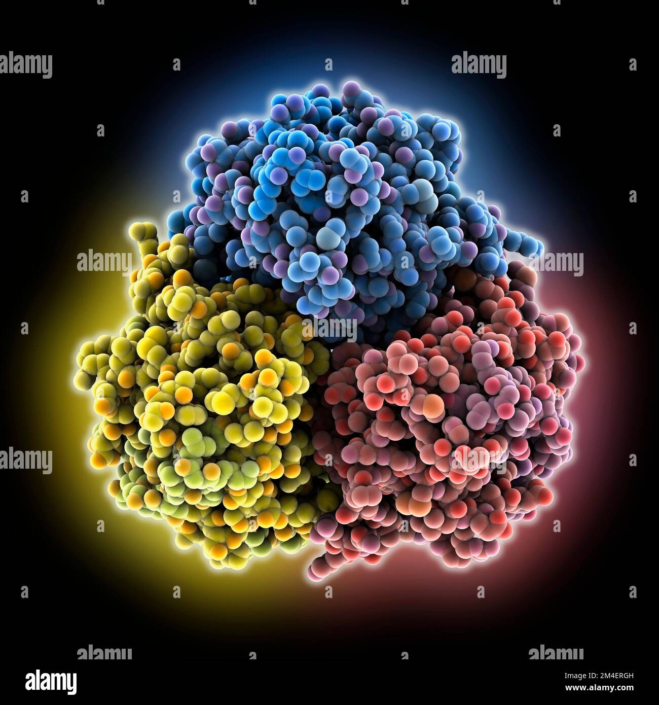 Lassa virus glycoprotein, molecular model Stock Photo - Alamy