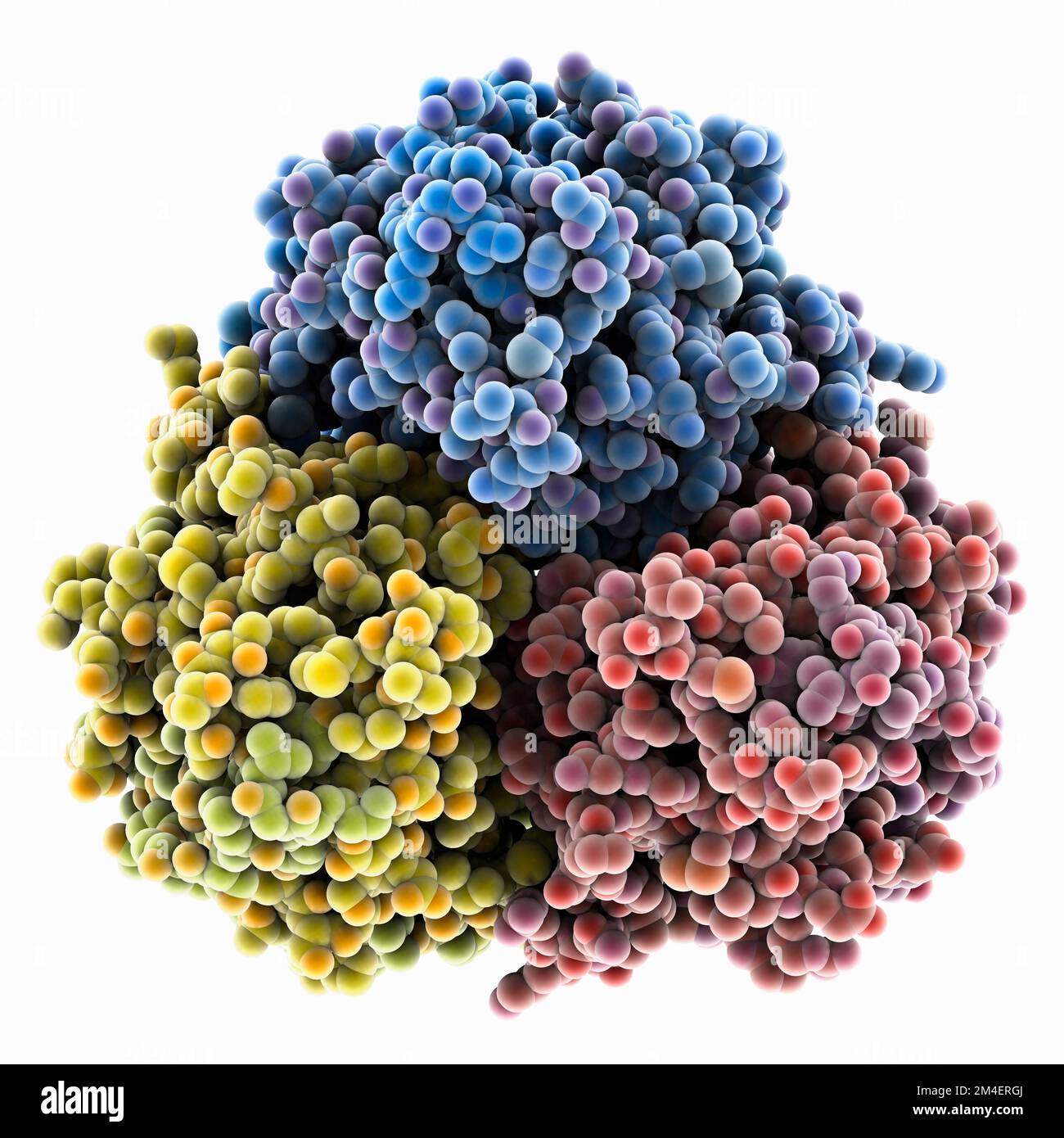 Lassa virus glycoprotein, molecular model Stock Photo - Alamy