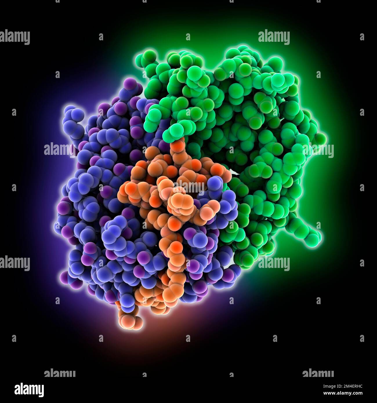 Toxin-Antitoxin from Mycobacterium tuber., molecular model Stock Photo ...