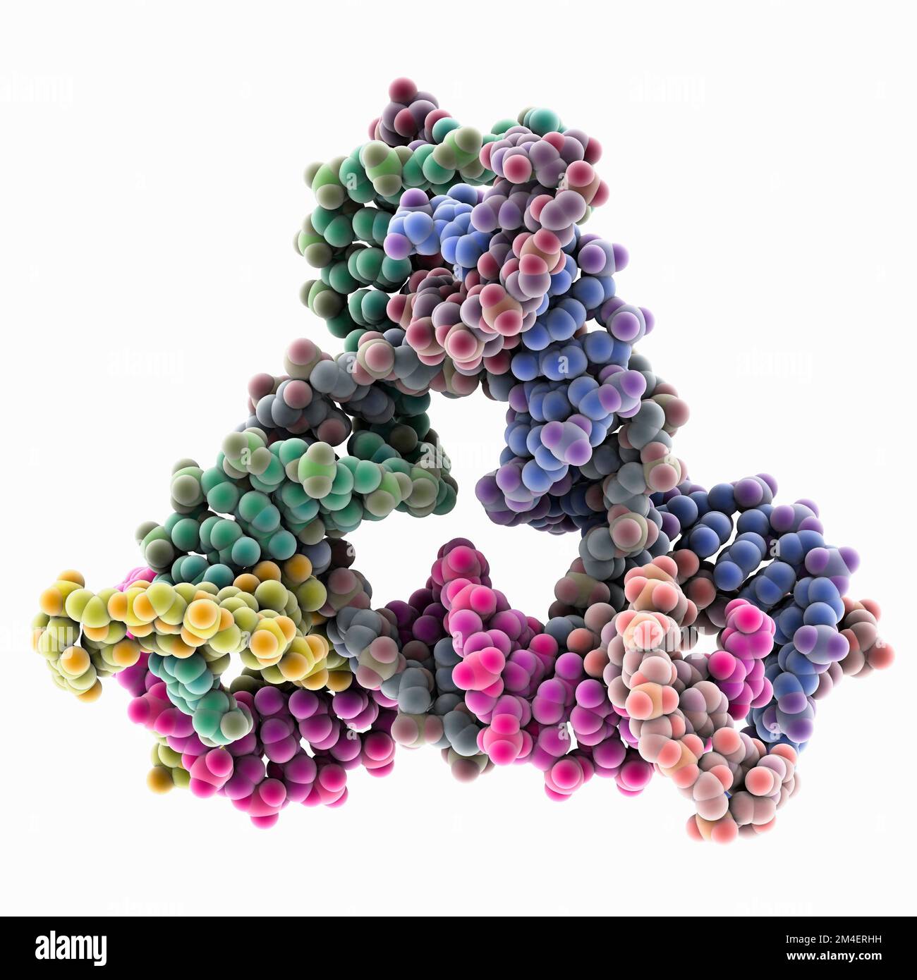 Self-assembling tensegrity DNA-triangle, molecular model Stock Photo ...