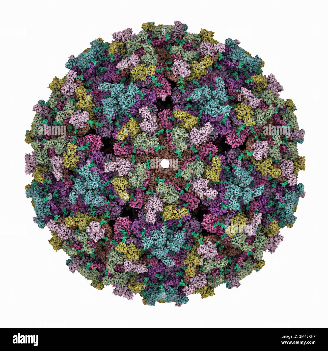 Getah virus capsid, molecular model Stock Photo - Alamy Getah virus capsid, molecular model Stock Photo - Alamy