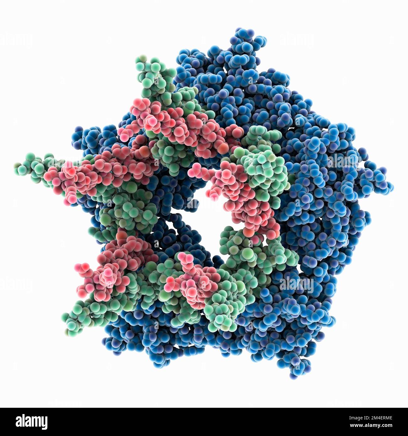 Getah virus spike glycoprotein E1, molecular model Stock Photo - Alamy
