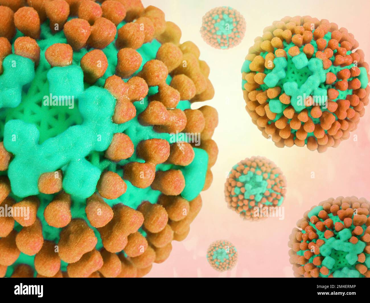 Influenza virus particles, illustration Stock Photo - Alamy