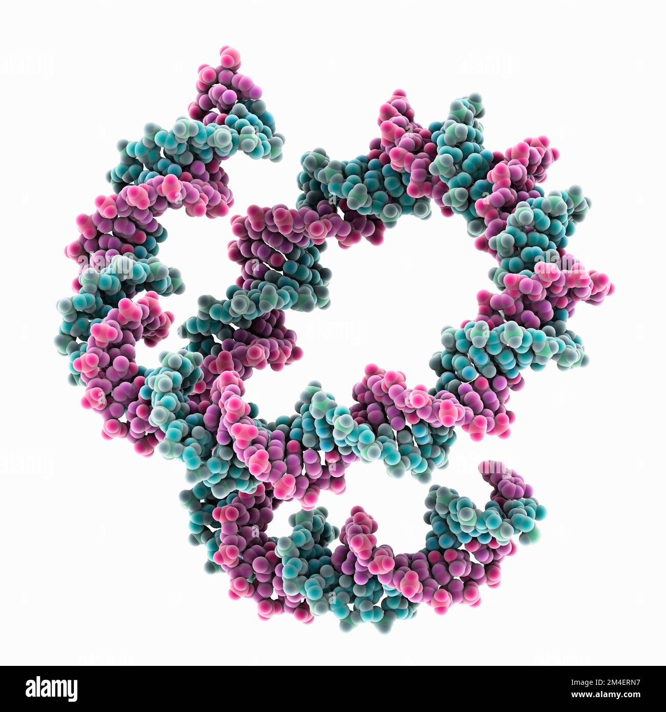 Nucleosome without histones, molecular model Stock Photo - Alamy