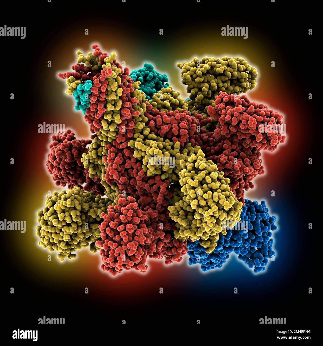 Clostridioides difficile binary toxin, molecular model Stock Photo - Alamy