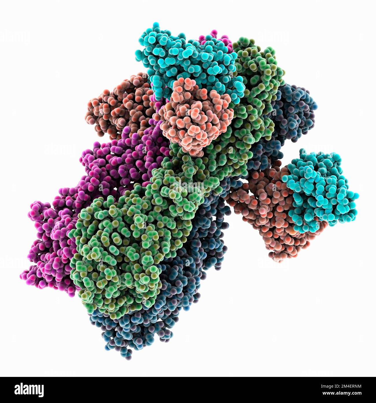 Influenza A hemagglutinin and antibody, molecular model Stock Photo - Alamy