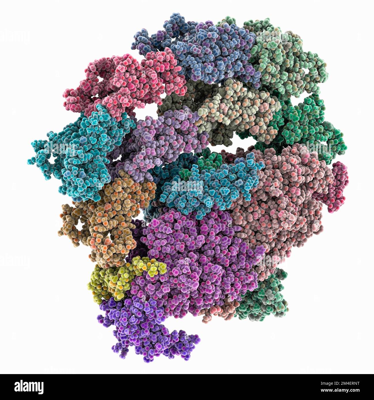 Monomeric Photosystem I complex, molecular model Stock Photo - Alamy