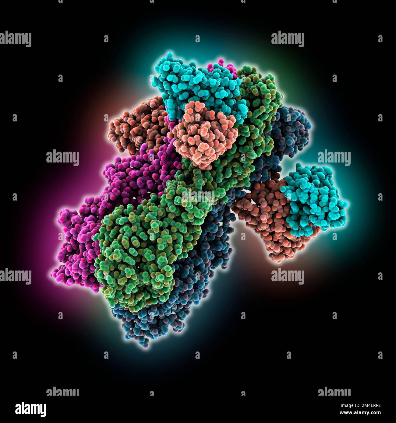 Influenza A hemagglutinin and antibody, molecular model Stock Photo - Alamy