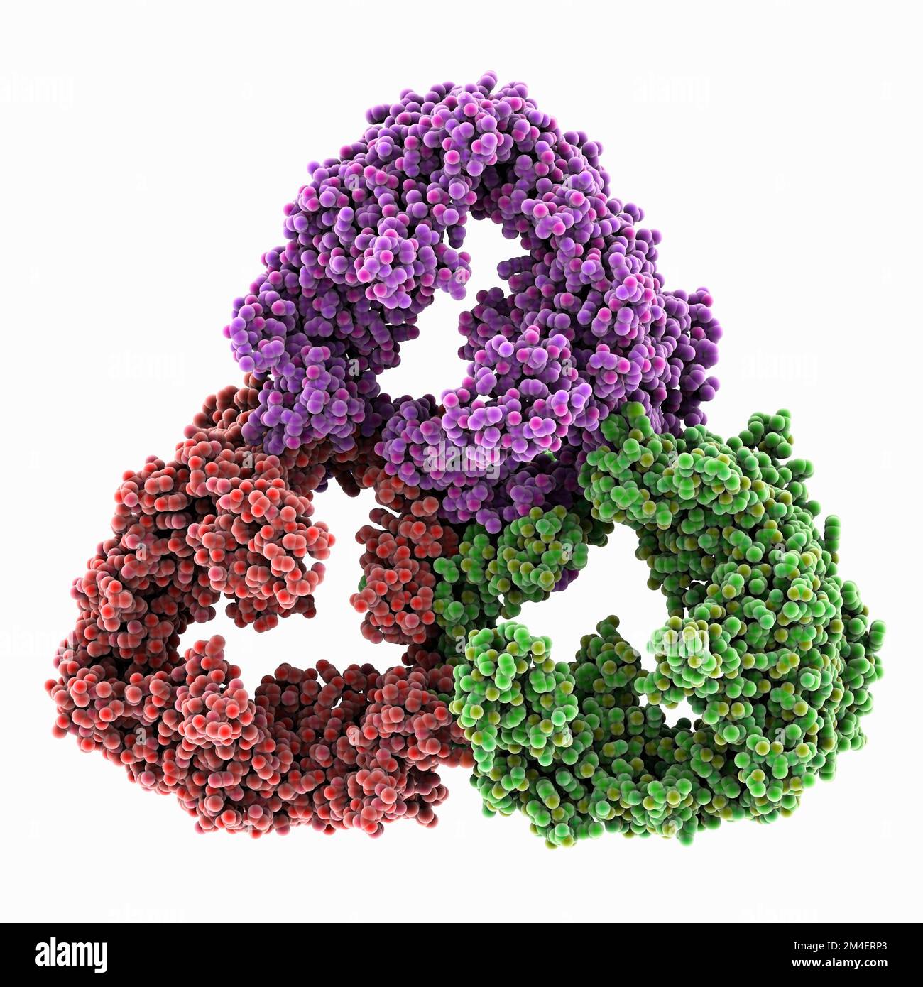 S-Layer deinoxanthin binding complex, molecular model Stock Photo - Alamy