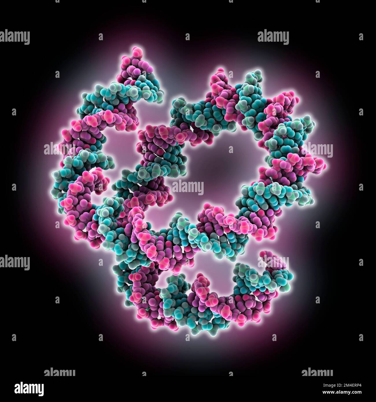 Nucleosome without histones, molecular model Stock Photo - Alamy