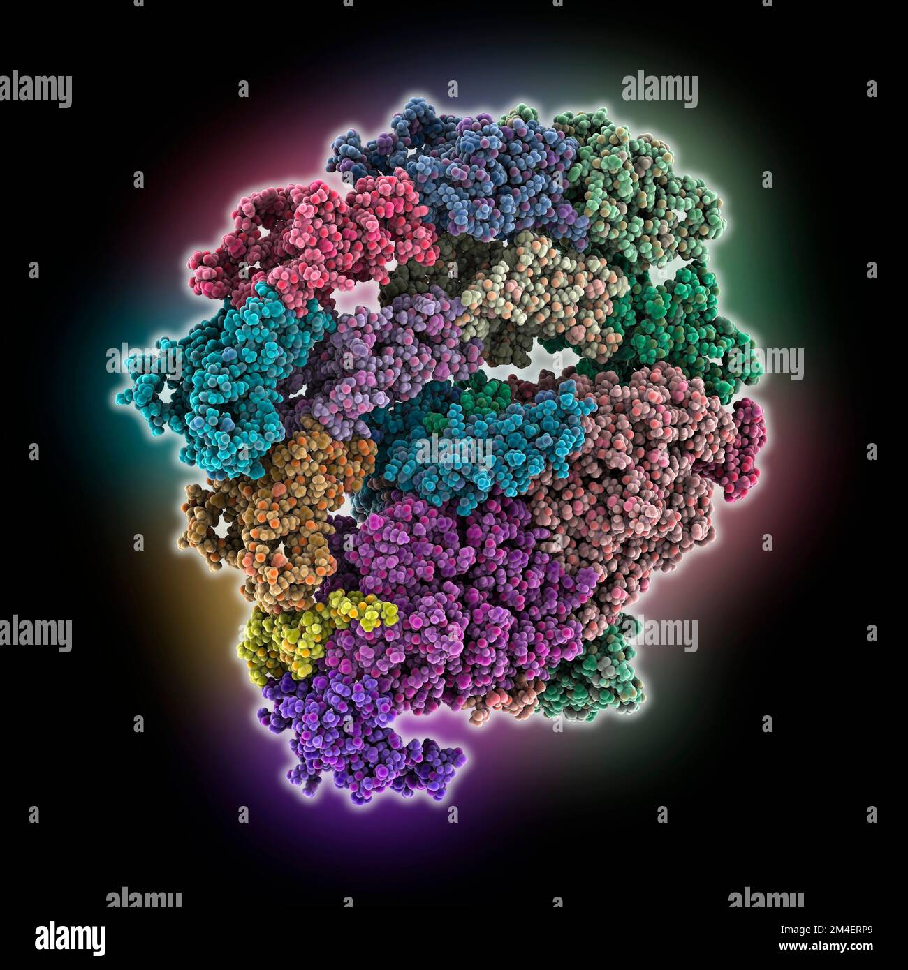 Monomeric Photosystem I complex, molecular model Stock Photo - Alamy