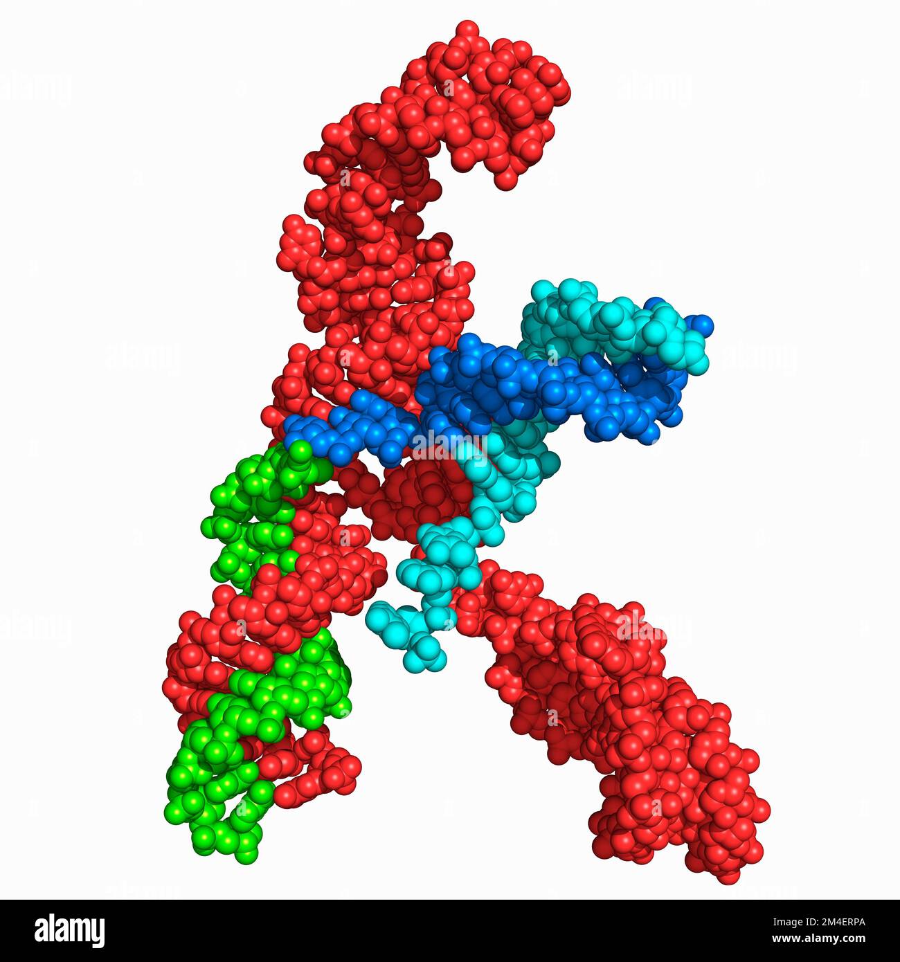 CRISPR/Cas9 target DNA binding, molecular model Stock Photo - Alamy