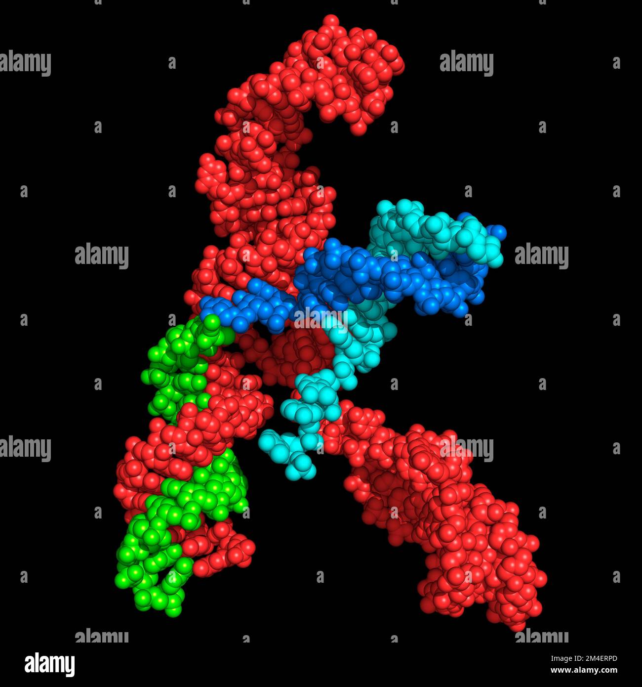 CRISPR/Cas9 target DNA binding, molecular model Stock Photo - Alamy